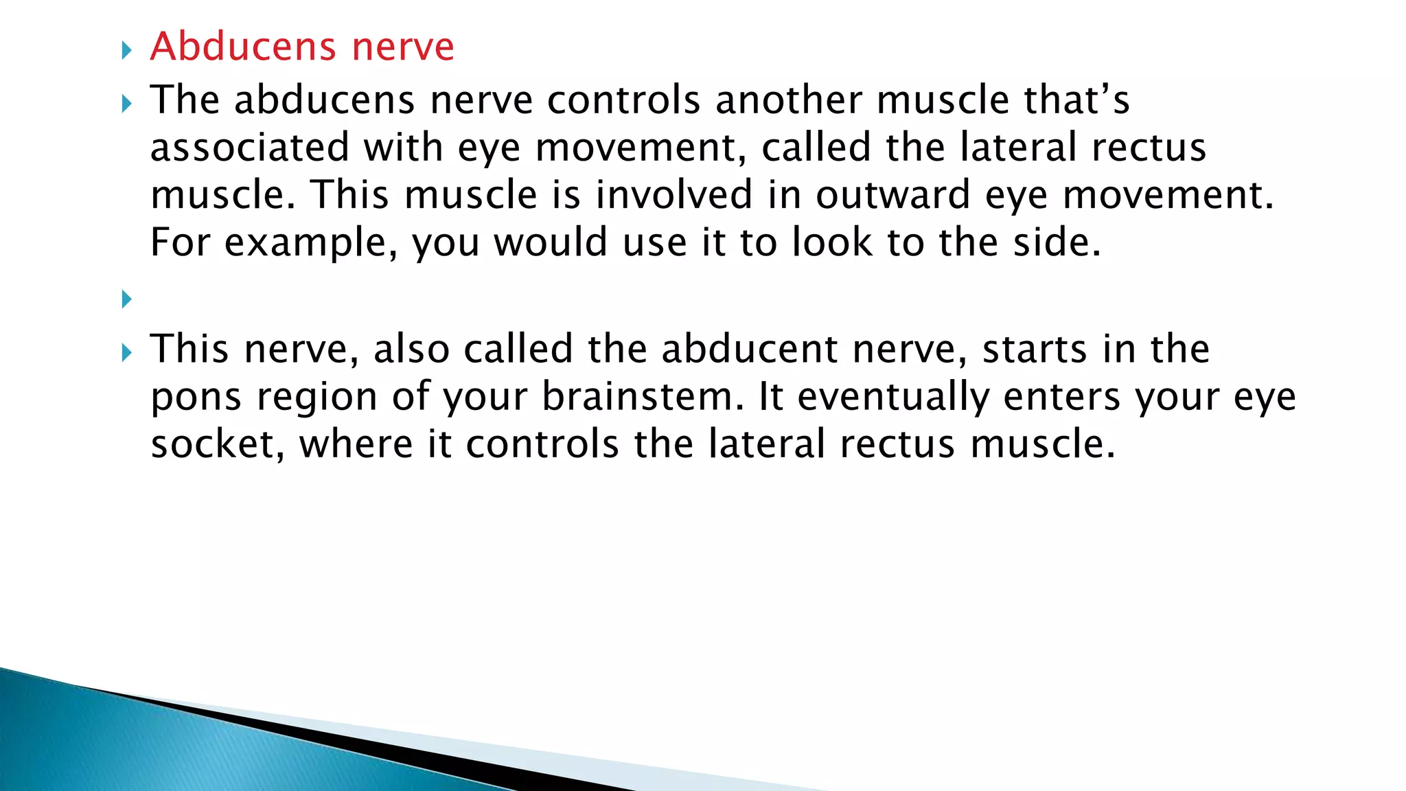 Cranial nerves anatomy and functions | PPTX