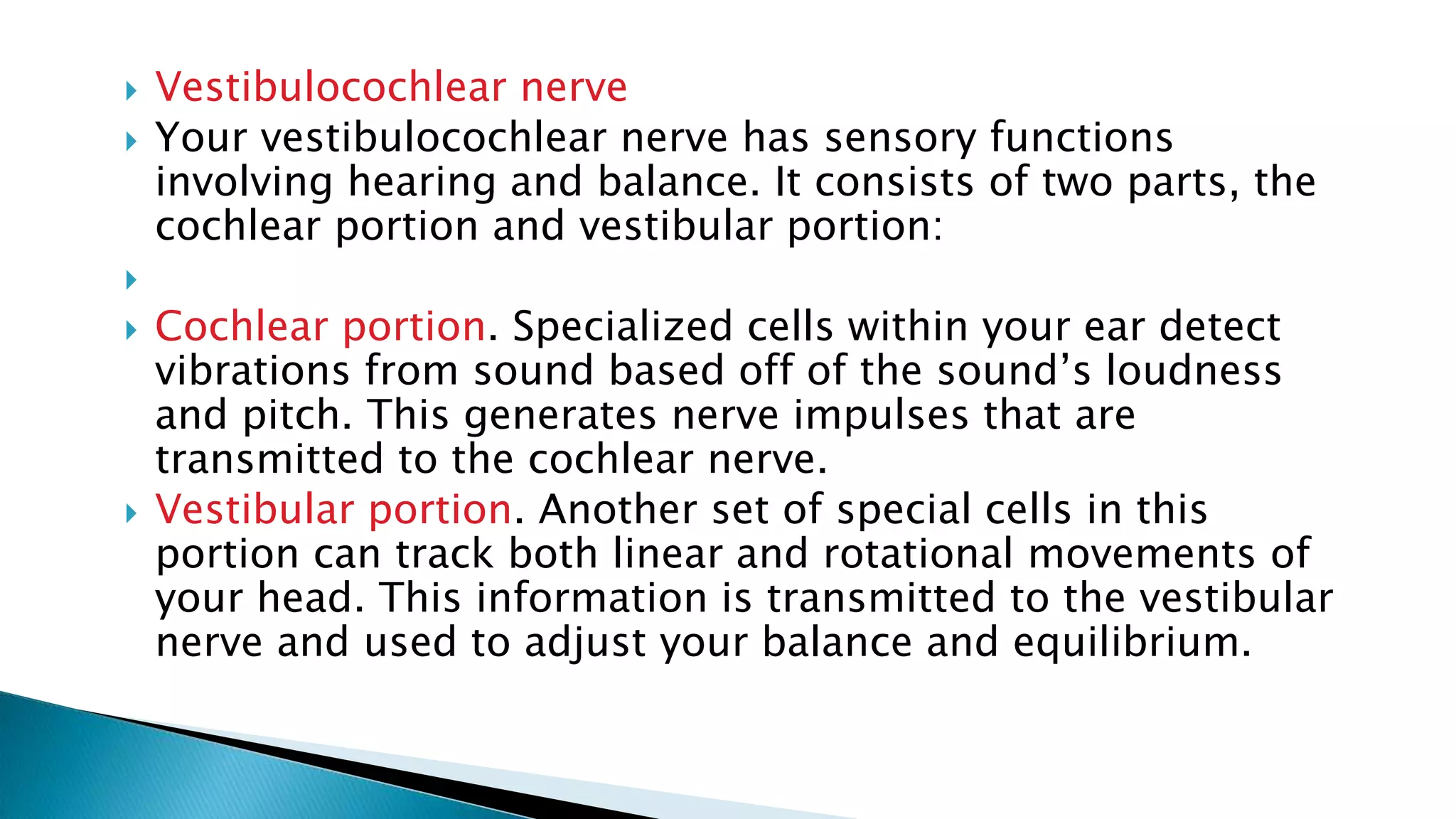 Cranial nerves anatomy and functions | PPTX