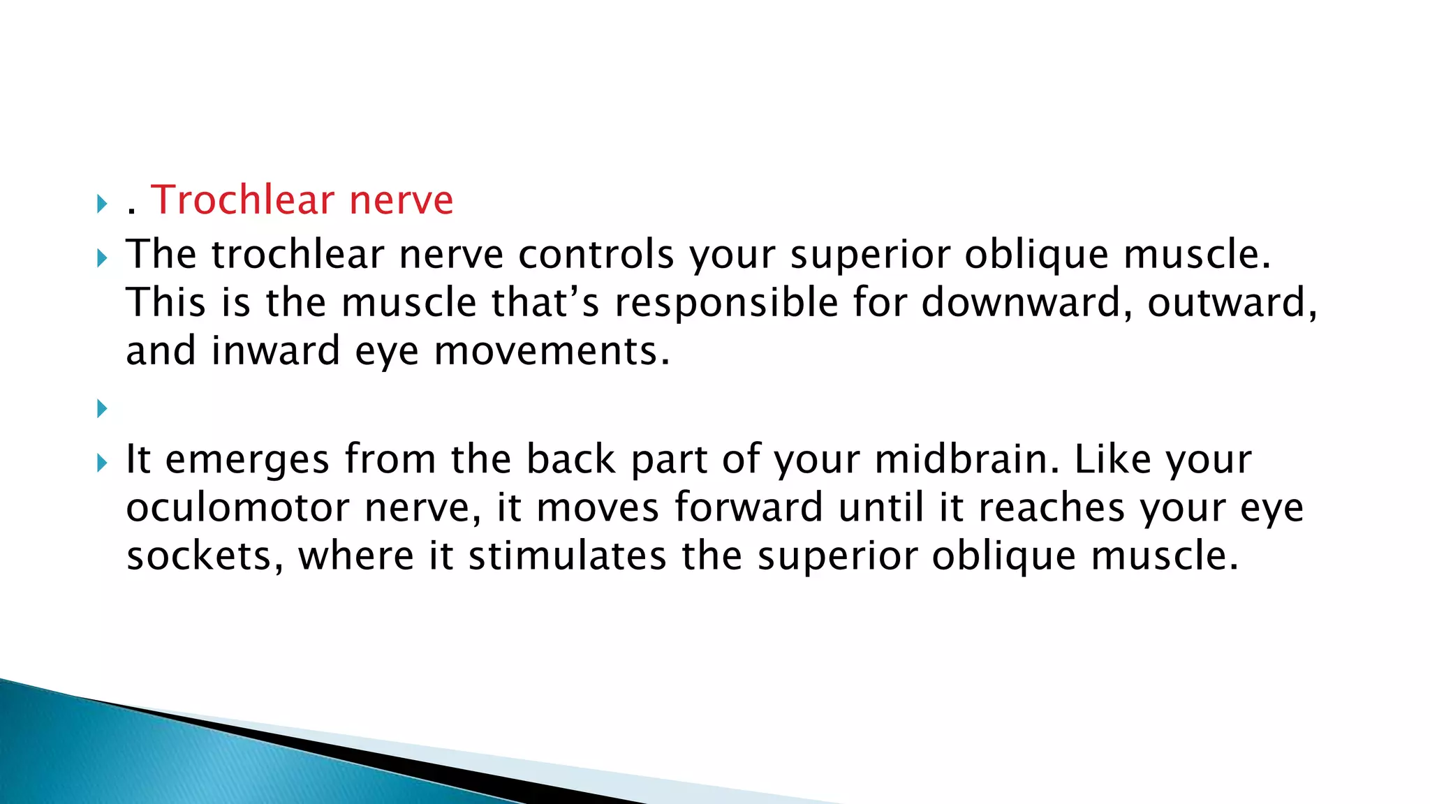 Cranial nerves anatomy and functions | PPTX