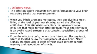 Cranial nerves anatomy and functions | PPTX