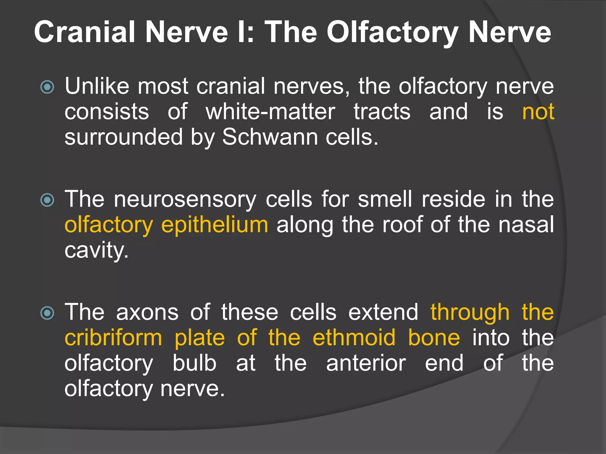 Cranial nerves anatomy pathology | PPT