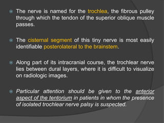 Cranial nerves anatomy pathology | PPTX