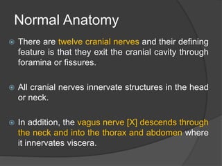 Cranial nerves anatomy pathology | PPTX