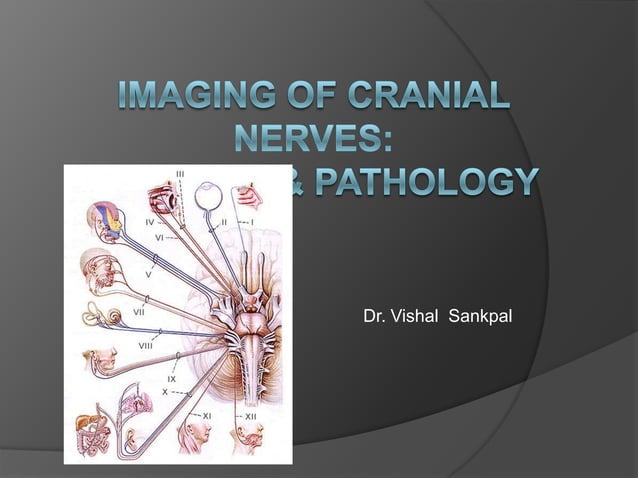 Cranial nerves anatomy & pathology | PPTX | Brain and Nervous System ...