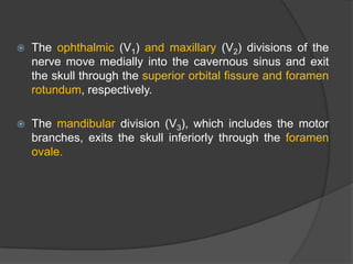 Cranial nerves anatomy & pathology | PPTX