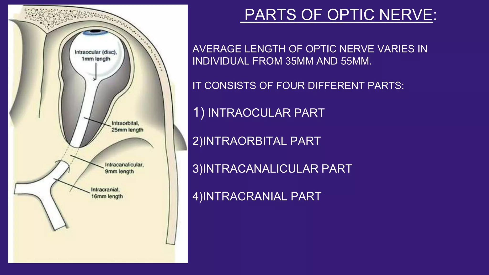 Cranial nerves | PPTX