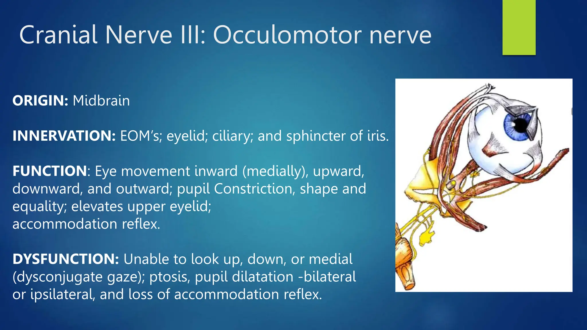 cranial nerves and their examination ppt | PPTX