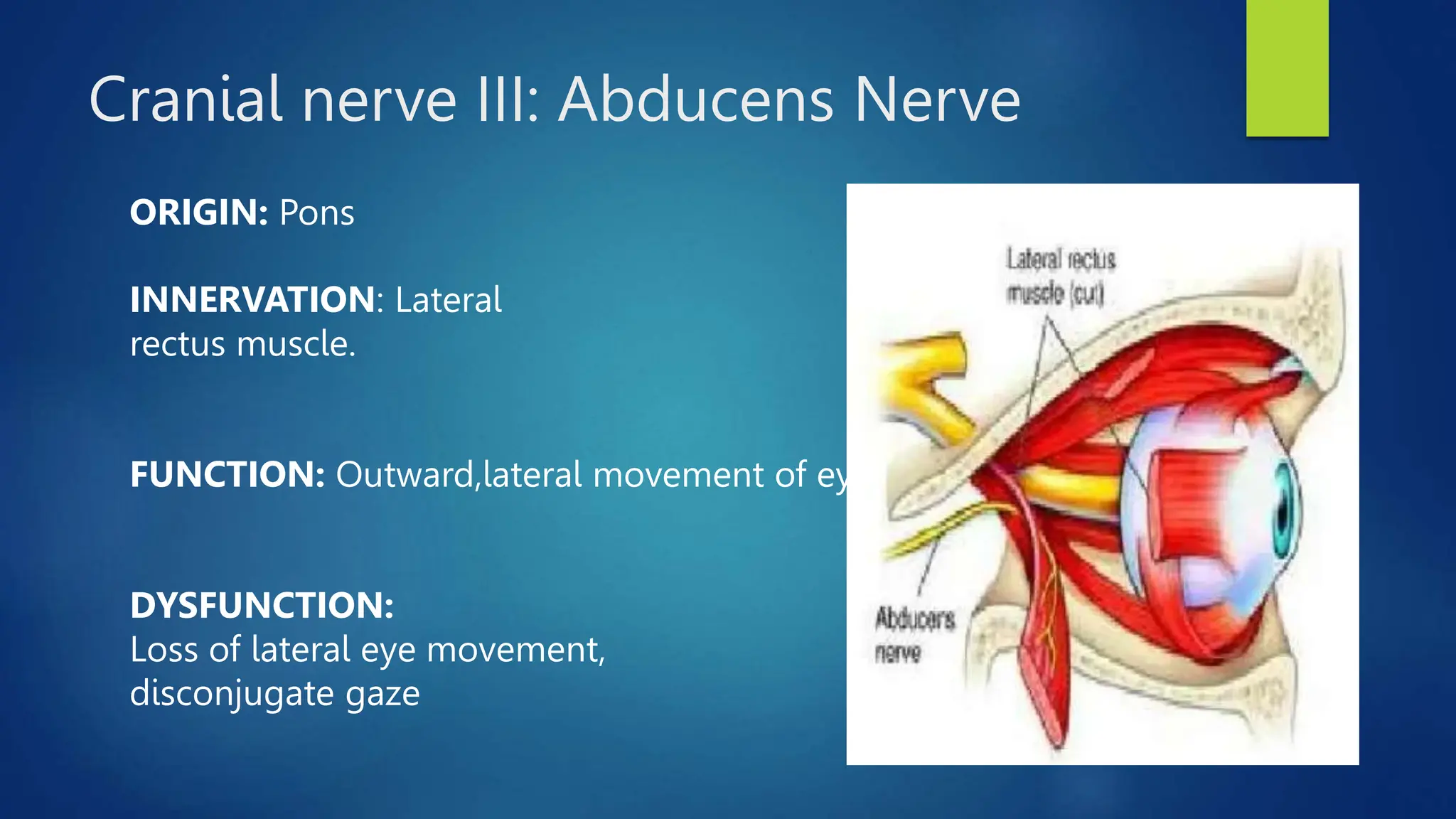 cranial nerves and their examination ppt | PPTX