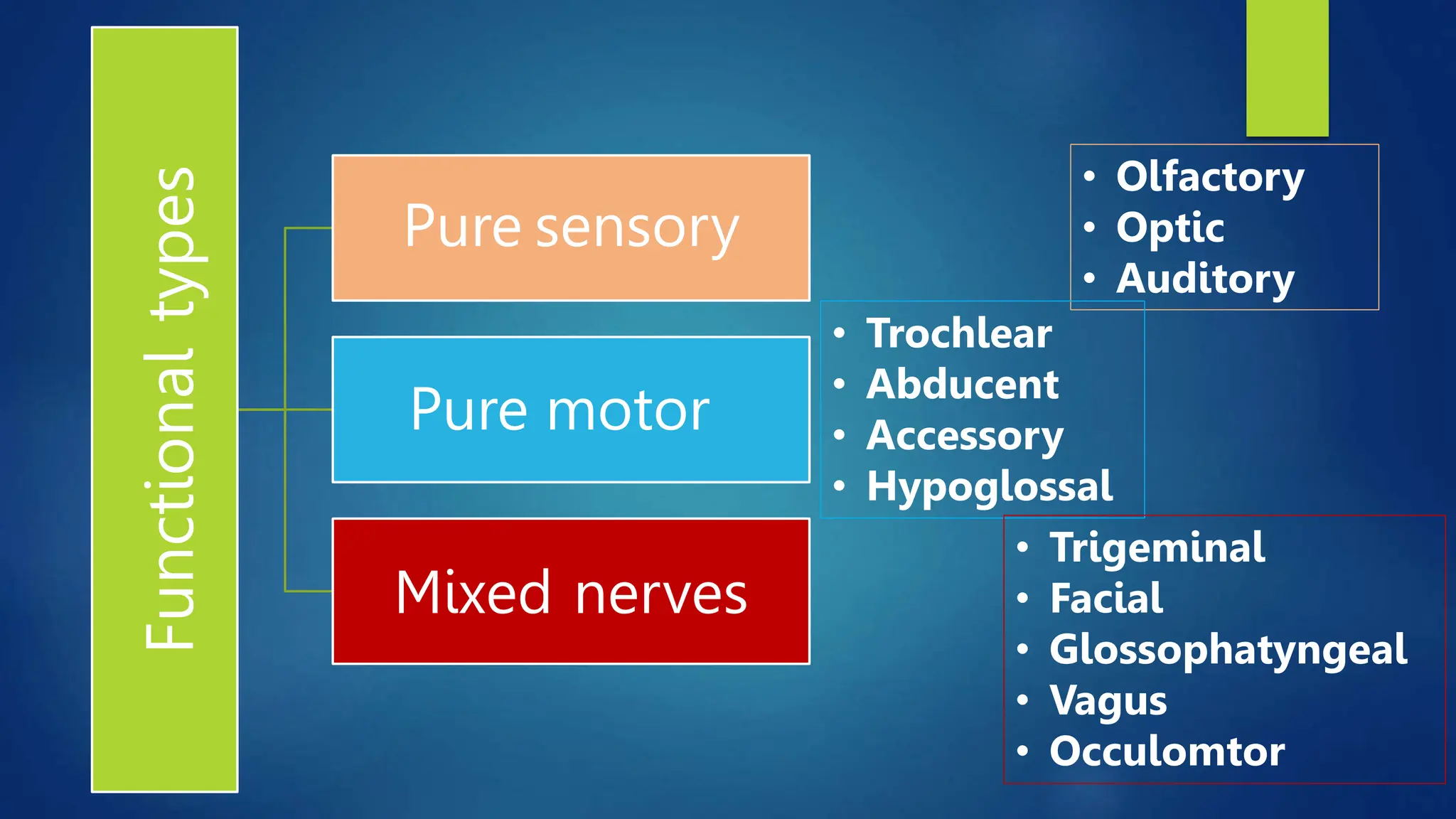 cranial nerves and their examination ppt | PPTX