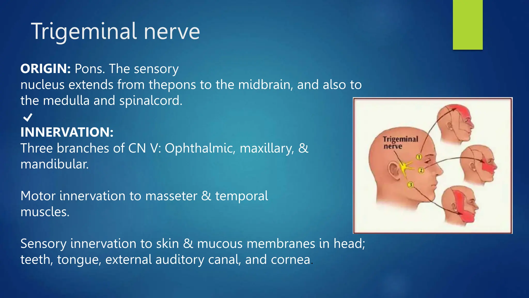 cranial nerves and their examination ppt | PPTX