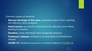 cranial nerves and their examination ppt | PPTX