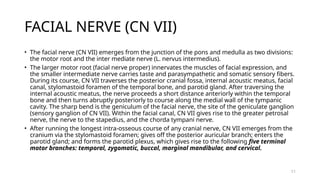 Cranial Nerves_DTherapy.pptx read this . | PPTX