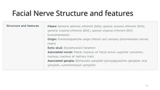 Cranial Nerves_DTherapy.pptx read this . | PPT