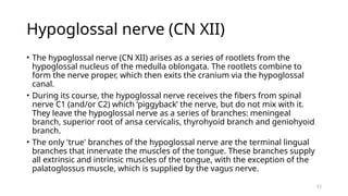 Cranial Nerves_DTherapy.pptx read this . | PPT