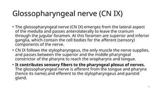 Cranial Nerves_DTherapy.pptx read this . | PPTX