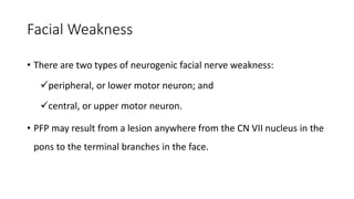 Cranial Nerve Seven.pptx