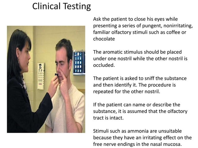 Cranial nerves examination ih | PPTX | Ear, Nose and Throat Conditions ...