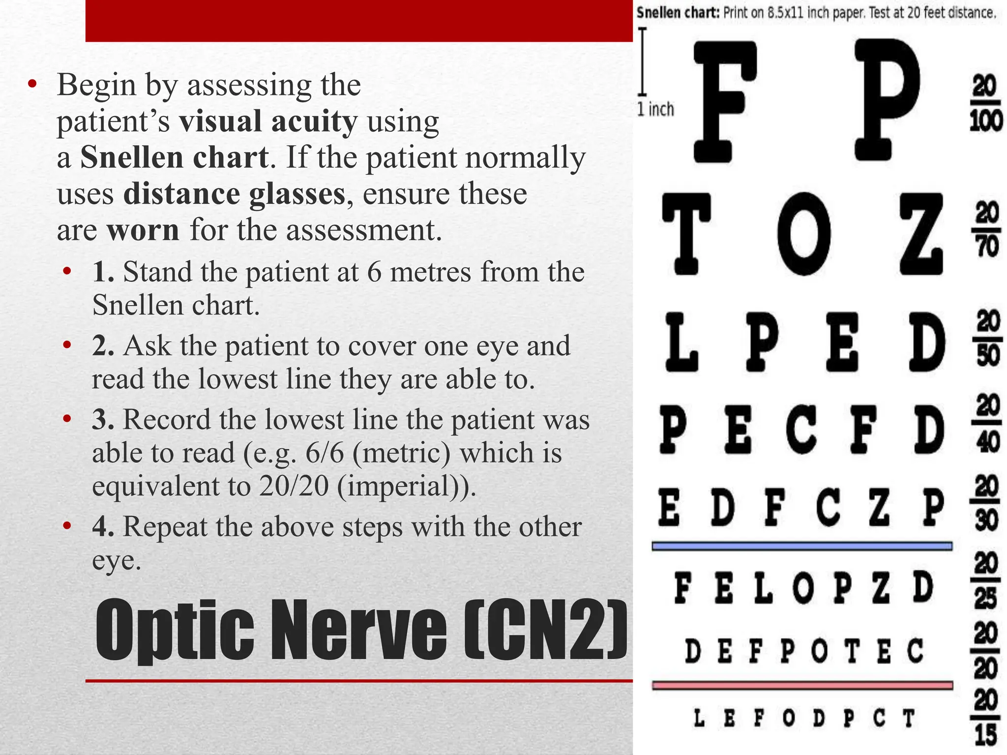 Cranial_Nerves_examination Cranial nerve examination frequently appears ...