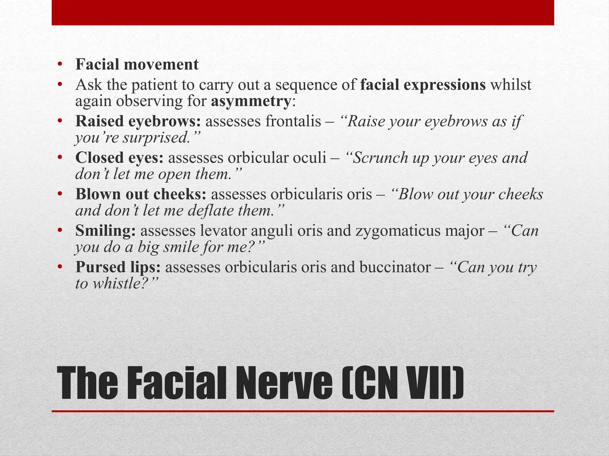 Cranial_Nerves_examination Cranial nerve examination frequently appears ...