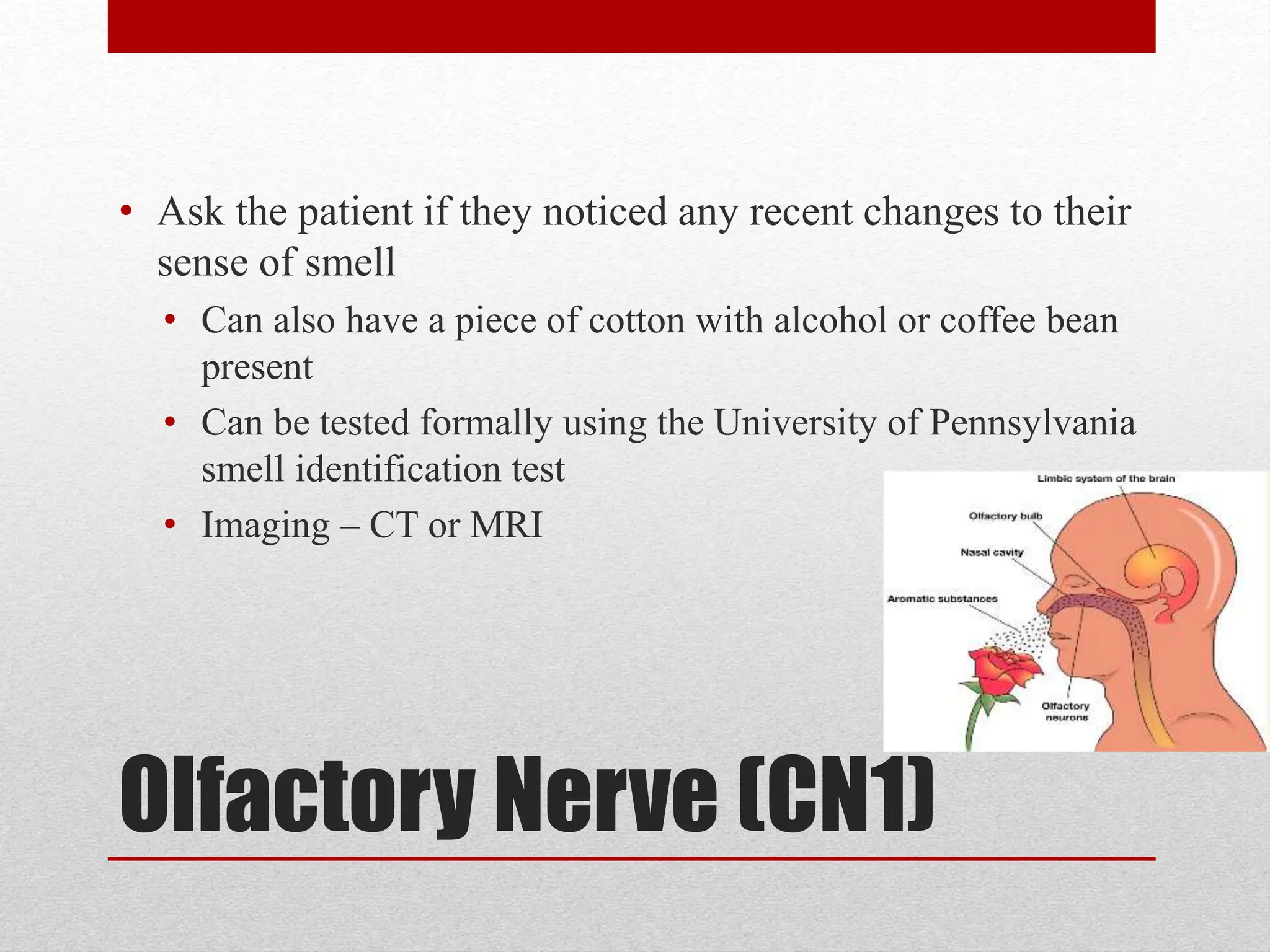 Cranial_Nerves_examination Cranial nerve examination frequently appears ...