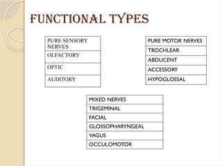 CRANIAL NERVES EXAMINATION pptxxx............pptx