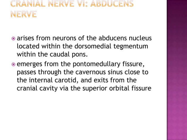 Cranial nerves iii, iv,vi | PPT