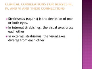 Cranial nerves iii, iv,vi | PPT