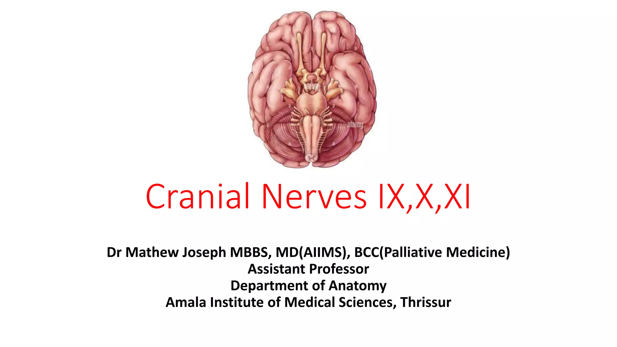 Cranial Nerves IX, X, XI.pptx