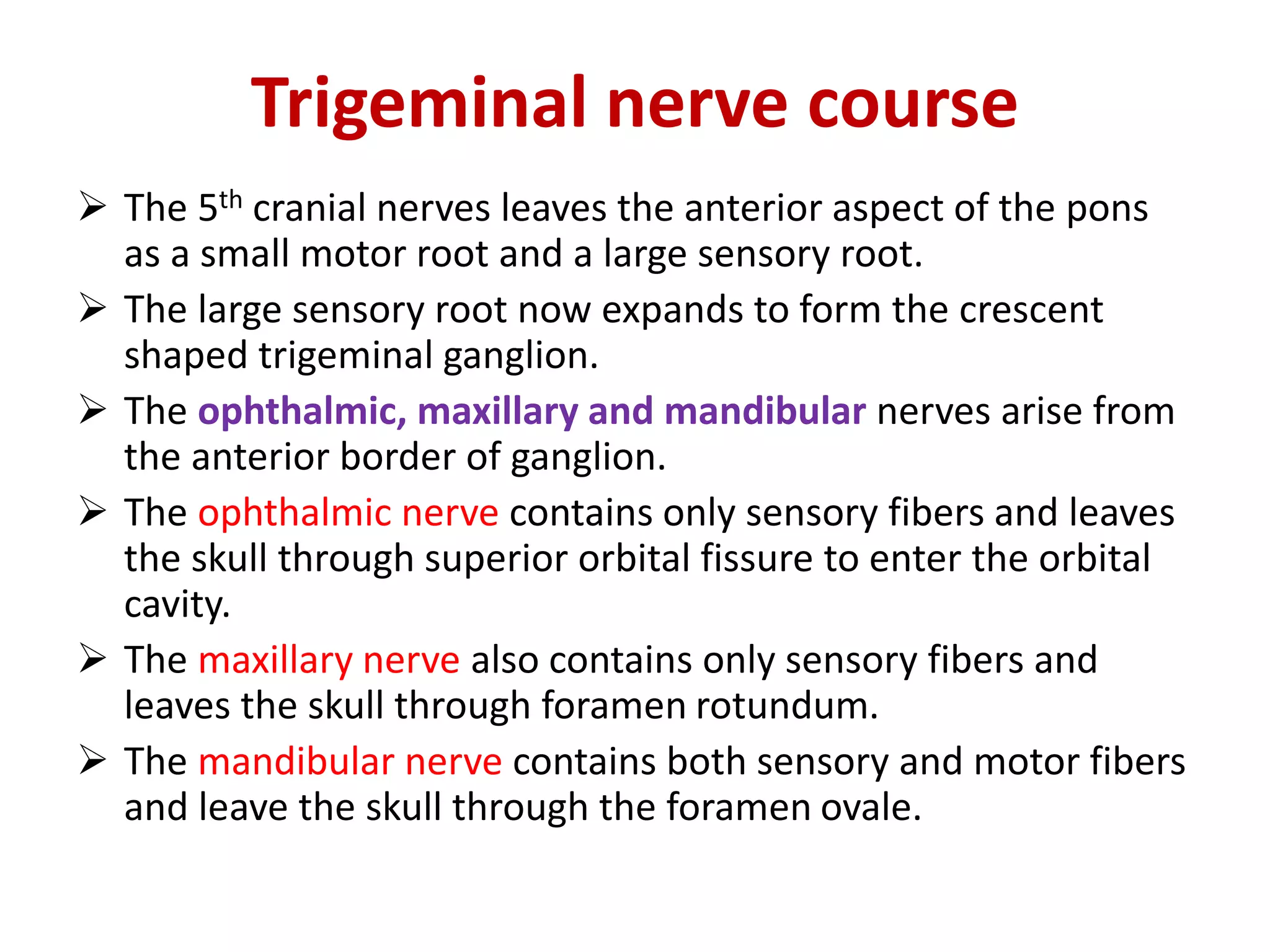Cranial Nerves lecture 2022 Dr Amna.pptx