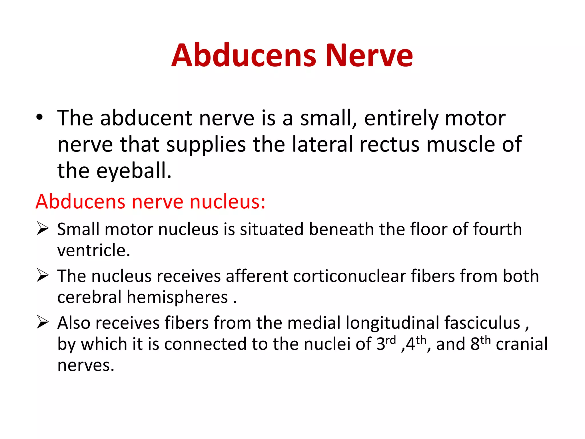 Cranial Nerves lecture 2022 Dr Amna.pptx