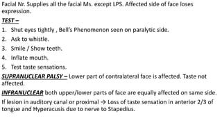 CRANIAL NERVES of medicine part - 2.pptx