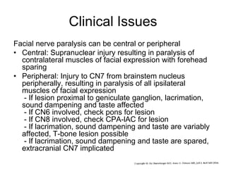 Cranial nerves part ii | PPT