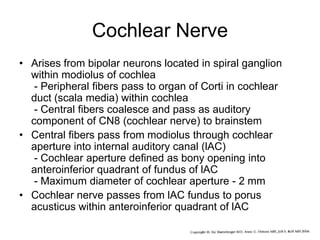 Cranial nerves part ii | PPT