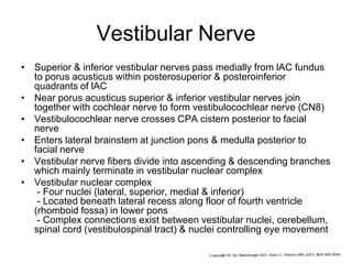 Cranial nerves part ii | PPT