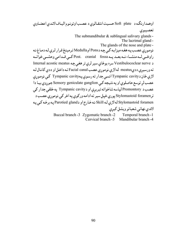 Cranial nerves pashto | PDF