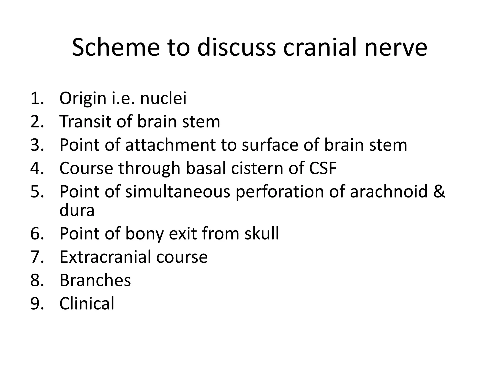 Cranial nerves pathways PDF with everything explained | PDF