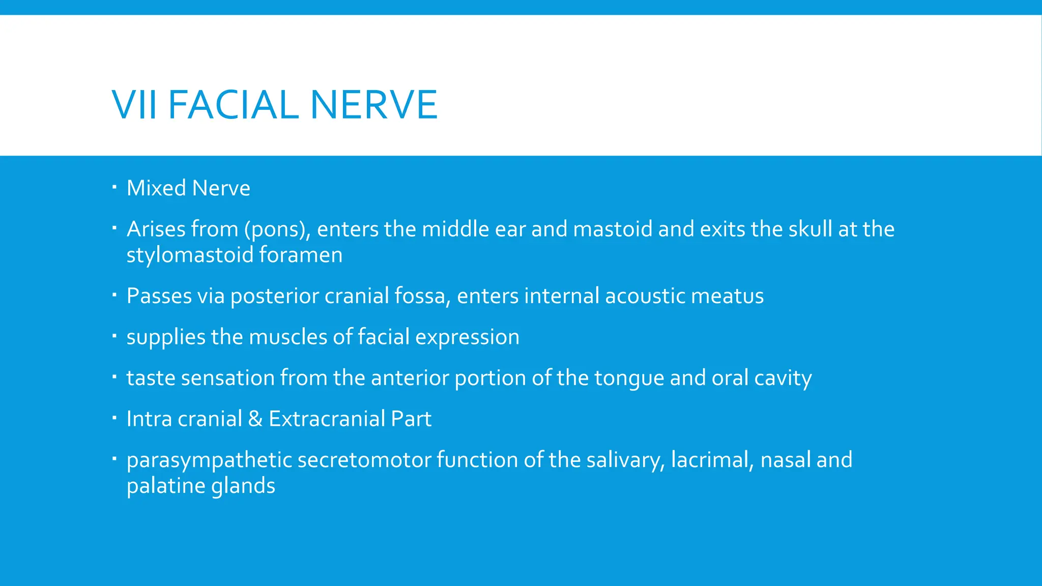 Cranial Nerves | PDF