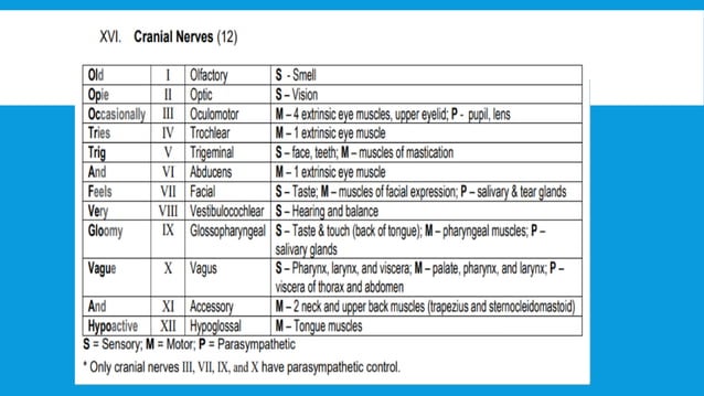 Cranial Nerves | PDF | Death, Injury, or Military Conflict | Sensitive ...