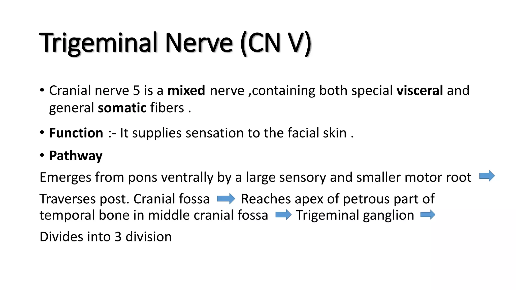 Cranial nerves ppt | PPTX