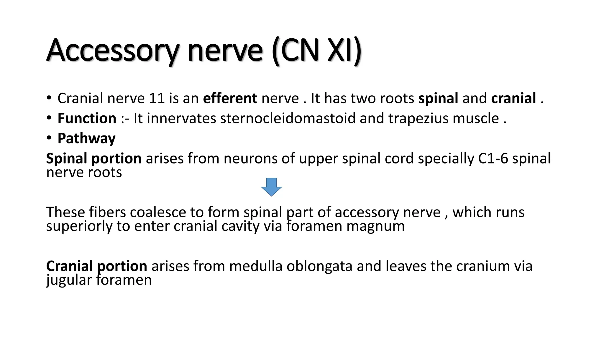 Cranial nerves ppt | PPTX
