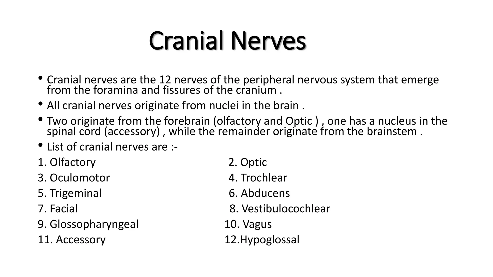 Cranial nerves ppt | PPTX