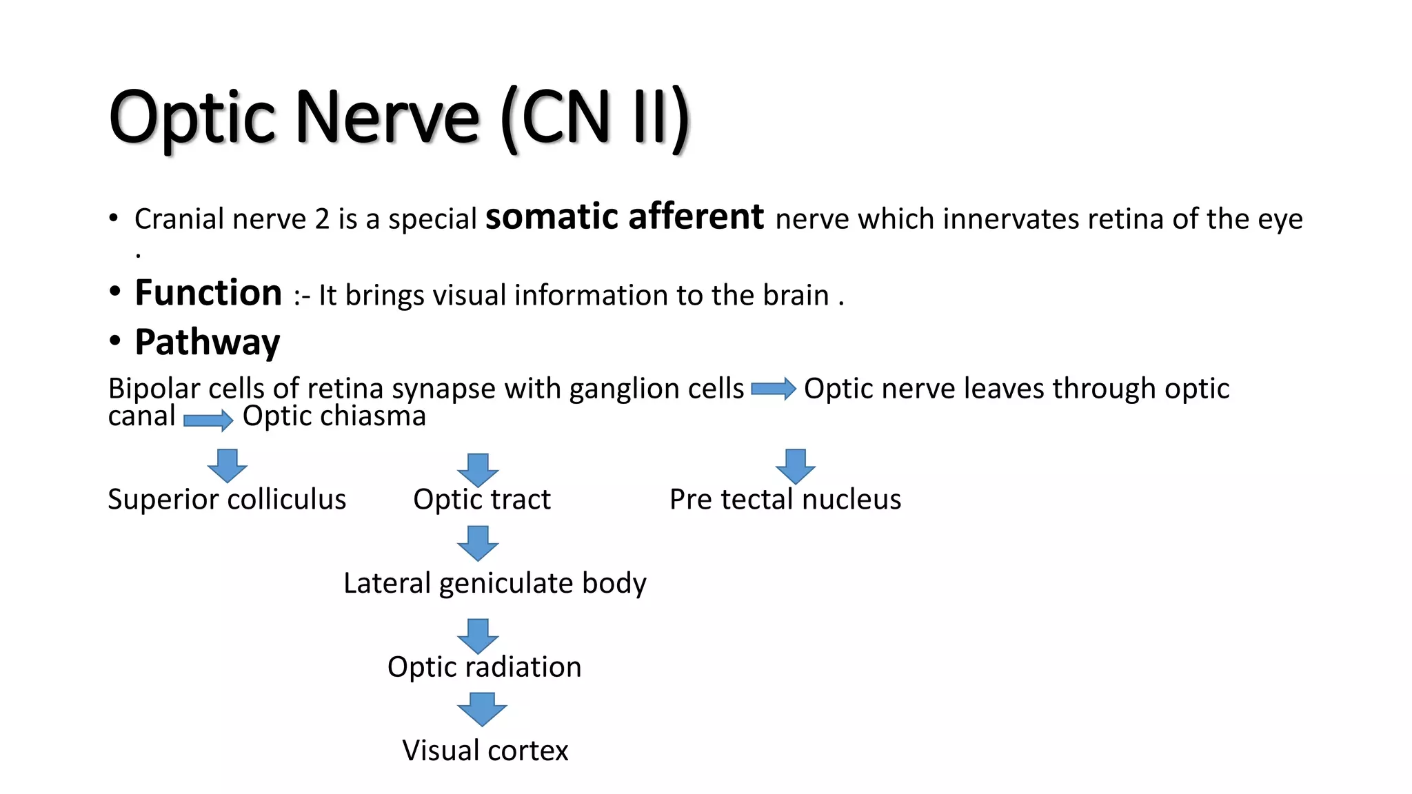 Cranial nerves ppt | PPTX