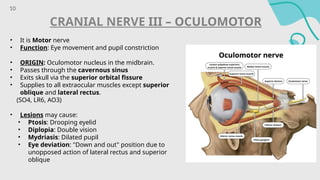 CRANIAL NERVES PPT - BY DR SHYAM PAREEK, 1ST MDS PERIO | PPTX