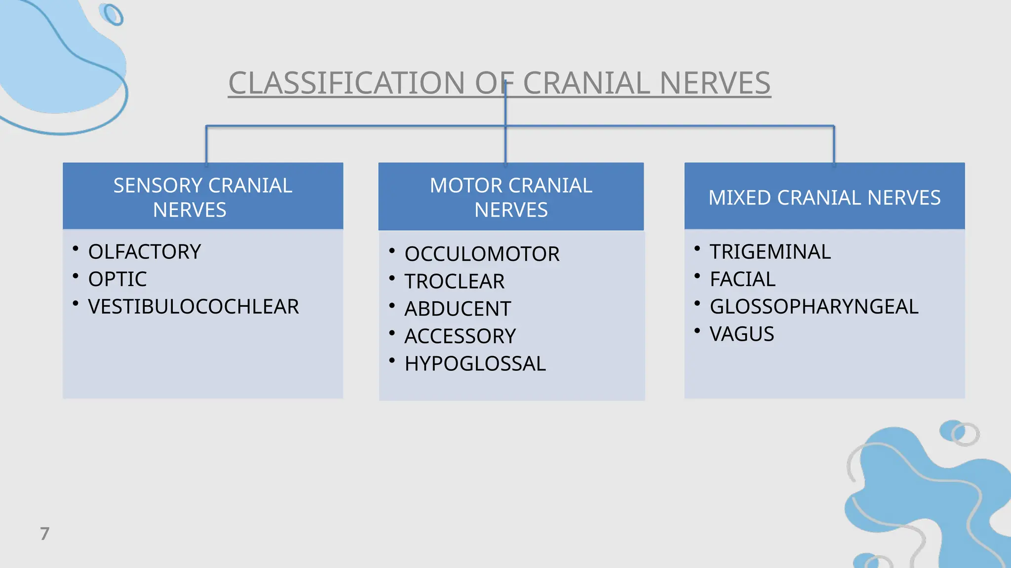 powerpoint presentation on cranial nerves | PPTX