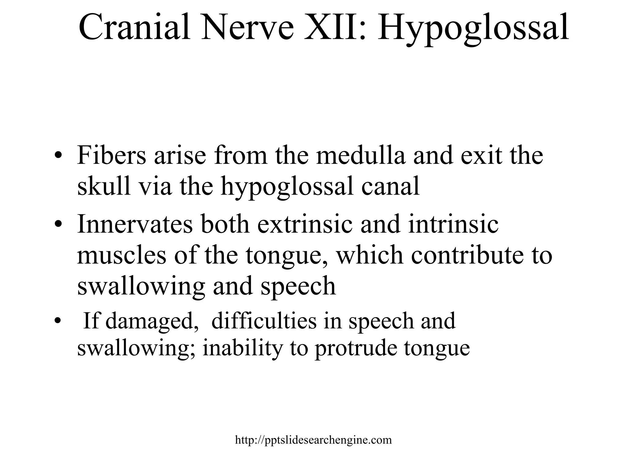 Cranial nerves pptslidesearchengine | PPT