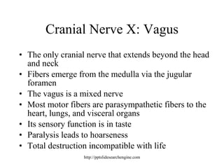 Cranial nerves pptslidesearchengine | PPT