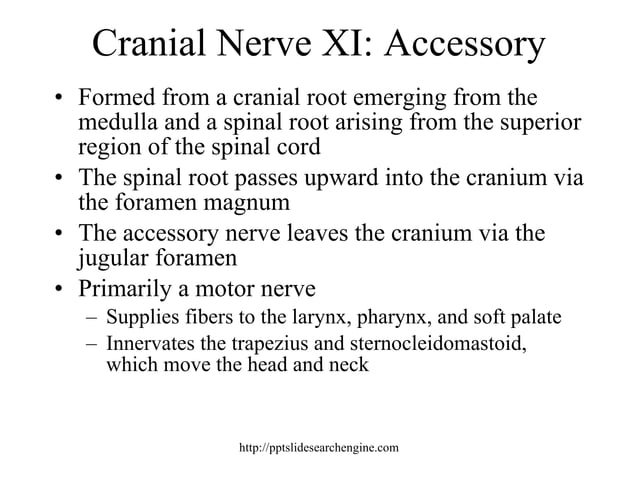 Cranial nerves pptslidesearchengine | PPT