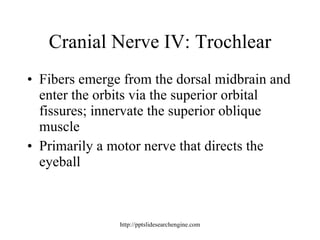 Cranial nerves pptslidesearchengine | PPT