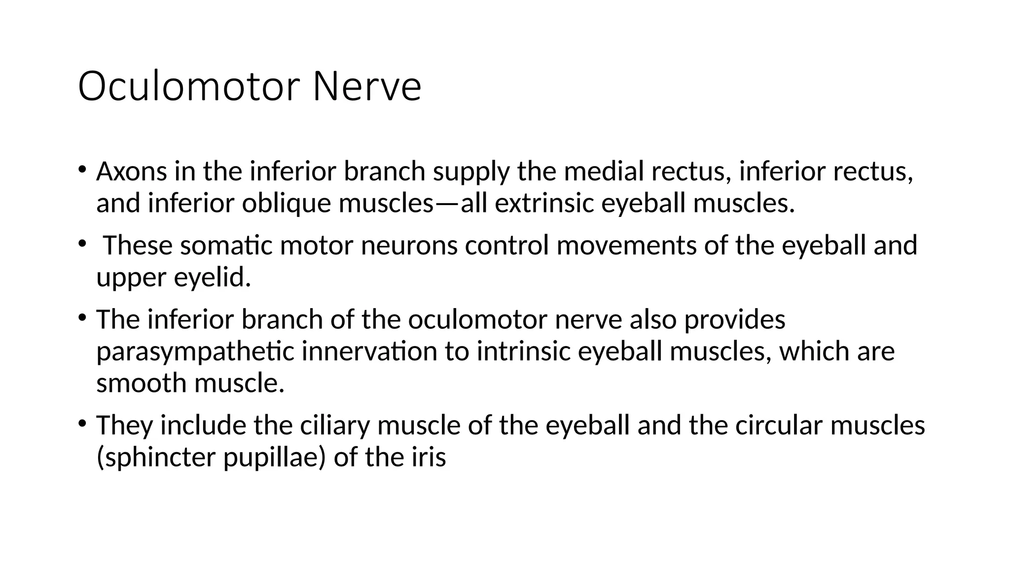 cranial nerves, spinal cord, spinal nerves.pptx