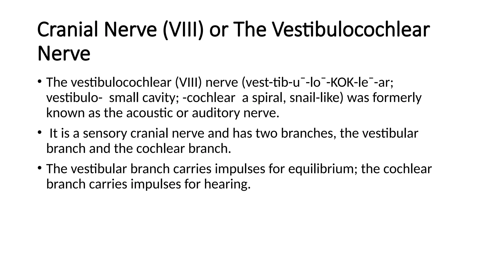 cranial nerves, spinal cord, spinal nerves.pptx